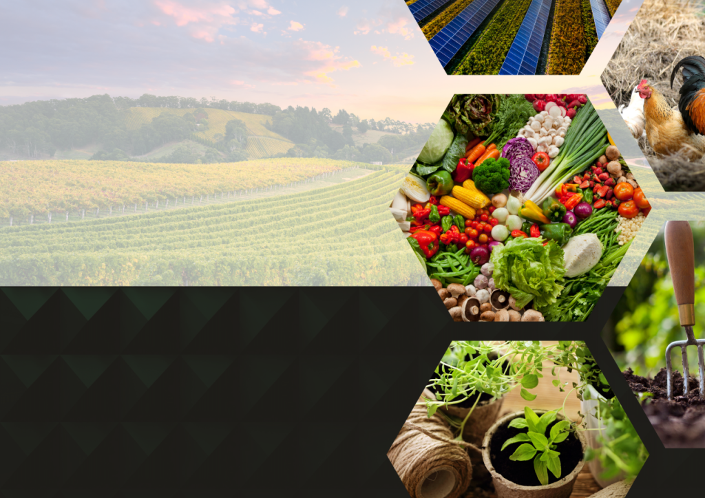 About Us – Keletso